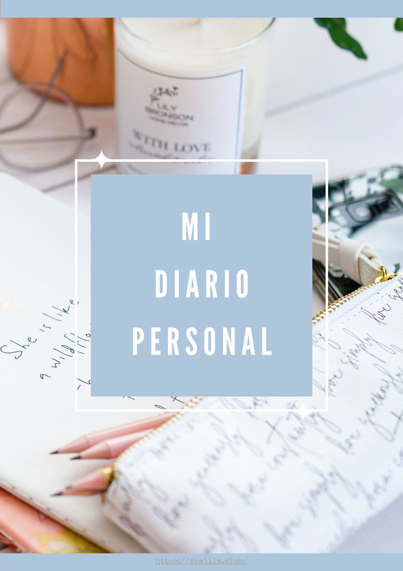 Reseña breve de mi diario personal – Semilla para cambiar tu vida